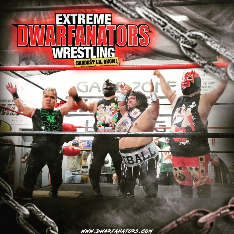 media - Dwarfanators